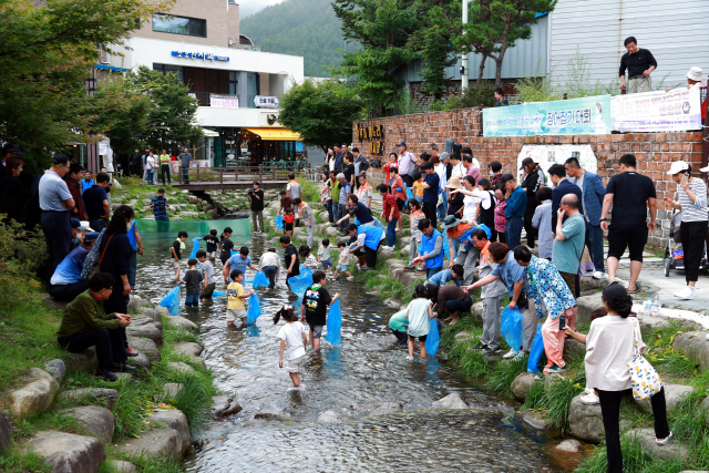 태백 황부자 며느리축제 성료