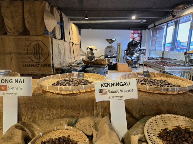 고성 ‘보나테라’, 빼빼로데이·수능대박기원 이벤트 화제