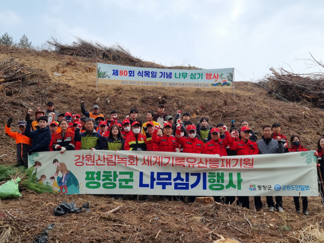 [세계기록유산 산림녹화] 강원도민일보 등재 캠페인 주도 강원도민 염원 하나로