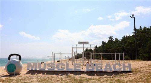 강릉 강문해변 머슬비치, 내일 피지컬 천재들 모인다