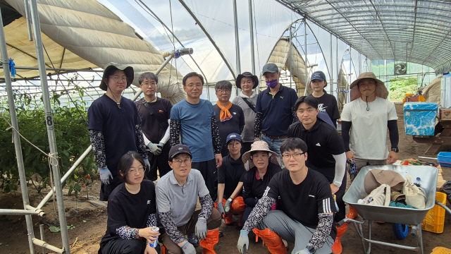 도 농업기술원 가평군 농가 영농재개 현장 지원